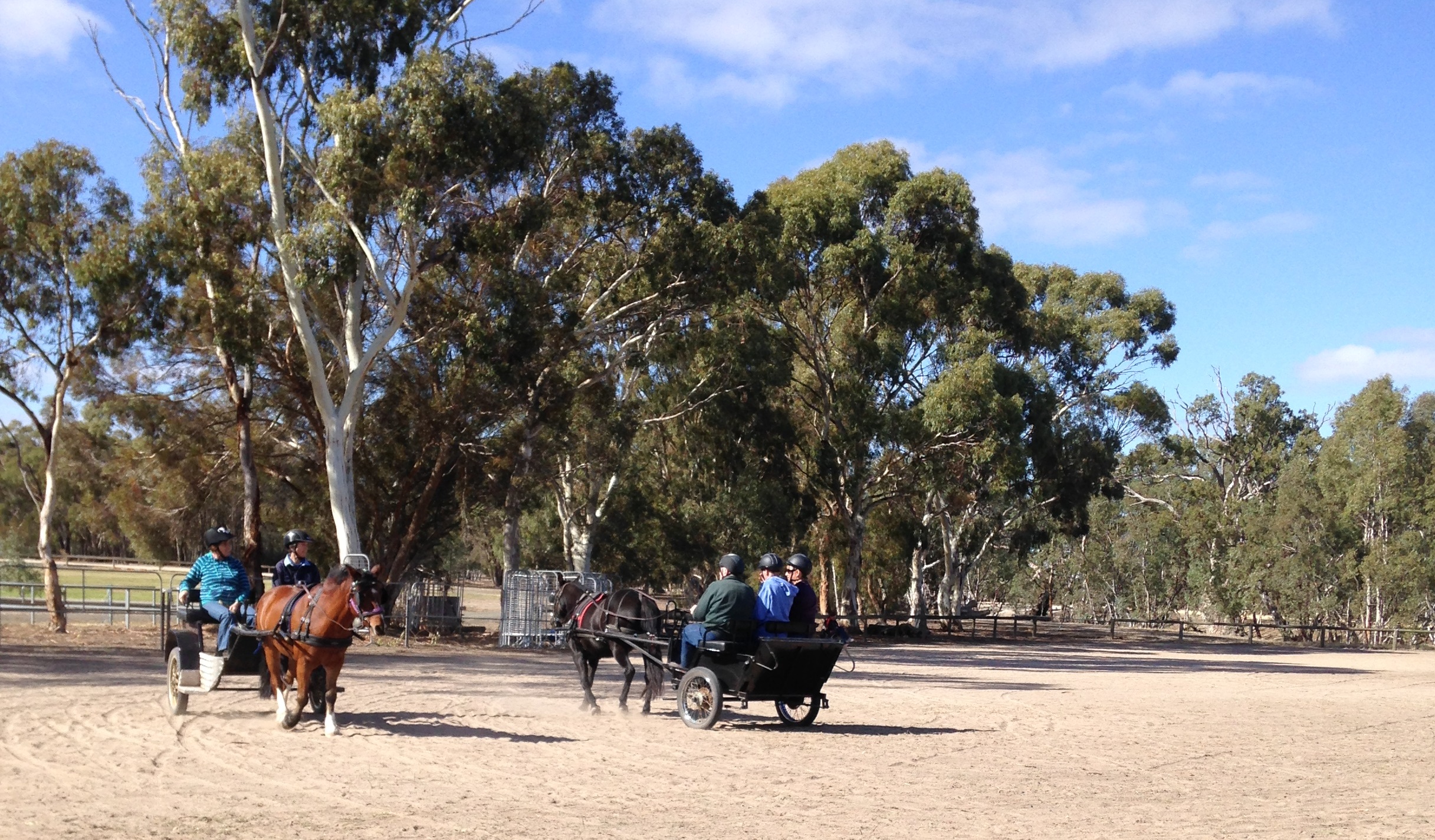 Published Posts – HORSHAM CENTRE